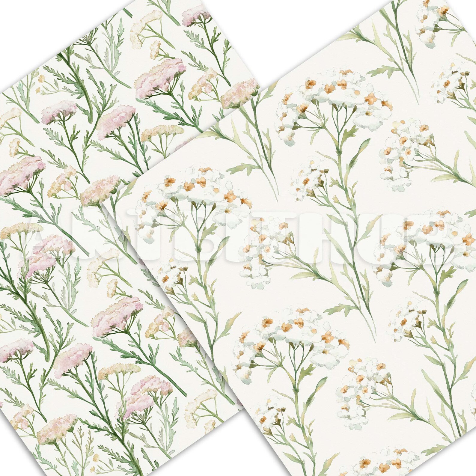 Common Yarrow Watercolor Seamless Pattern | Floral & Greenery JPG ...