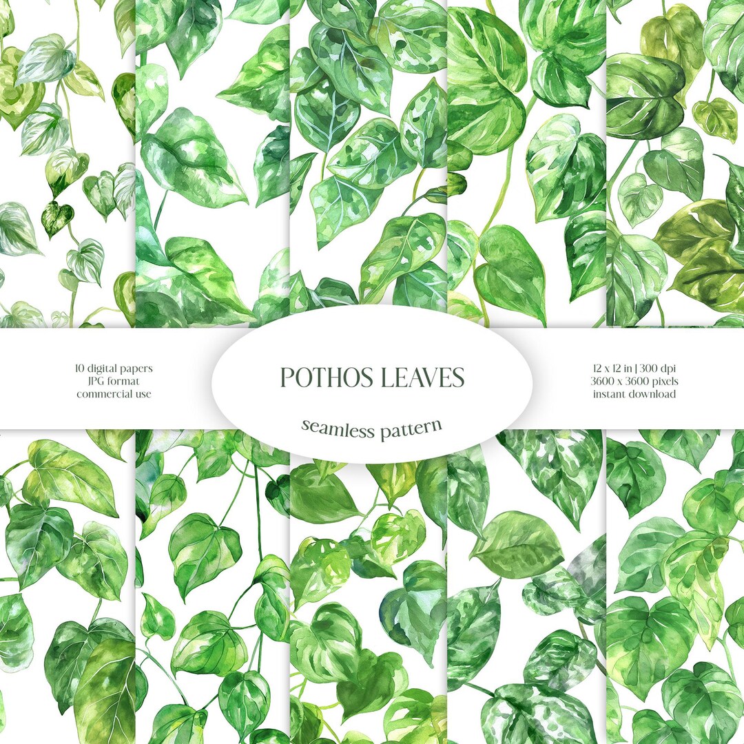 Pothos Leaves Watercolor Seamless Pattern | Greenery & Floral JPG ...