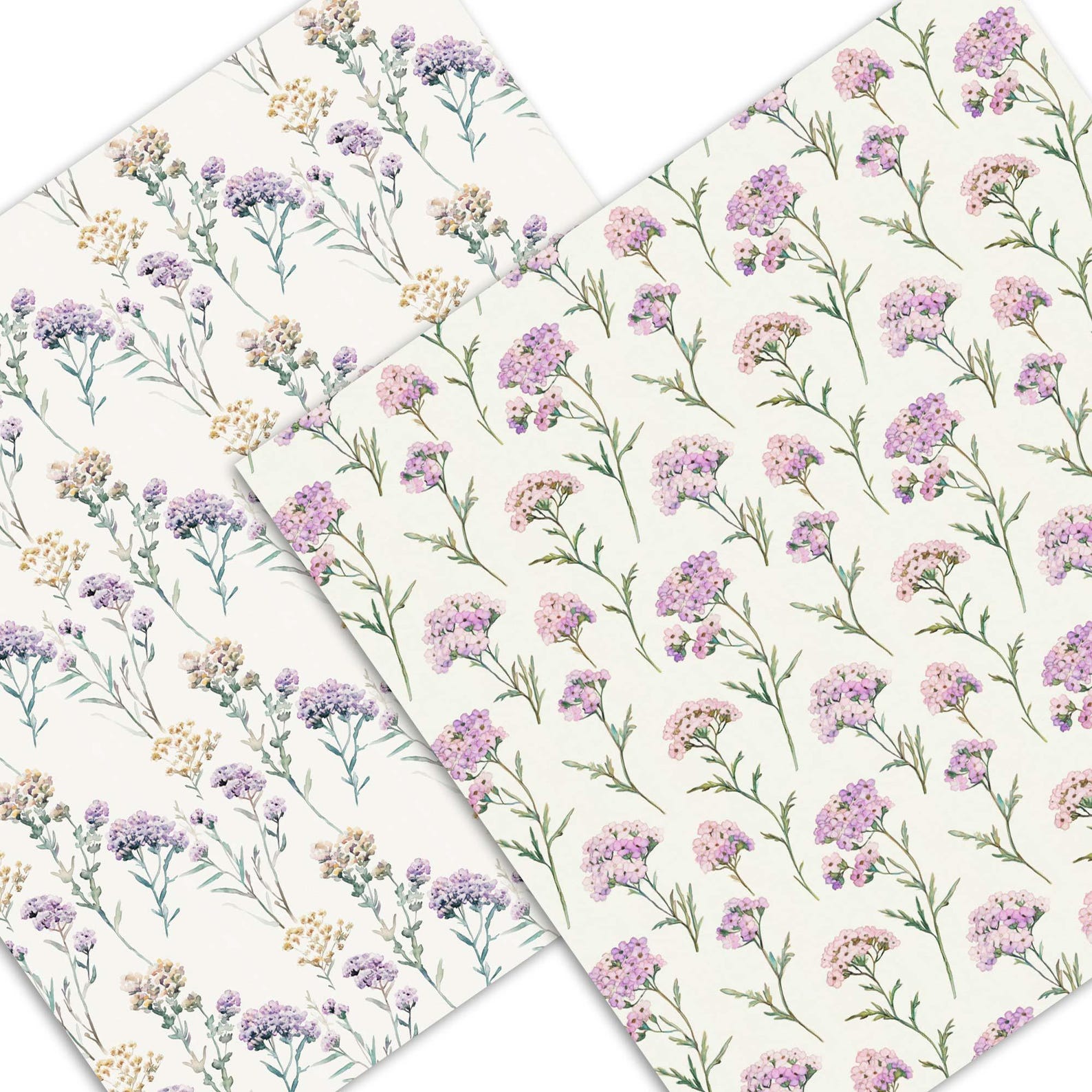 Common Yarrow Watercolor Seamless Pattern | Floral & Greenery JPG ...