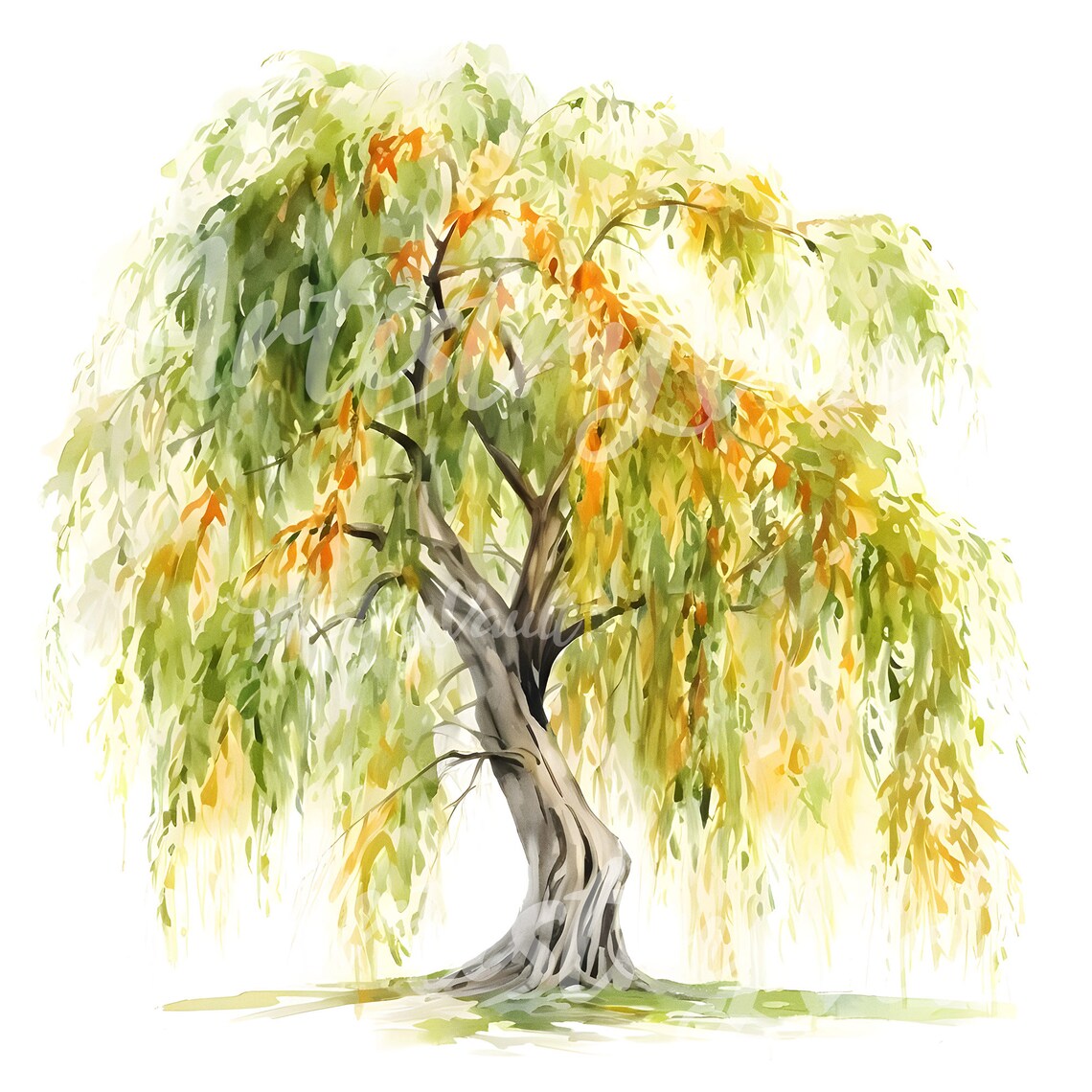 Willow Tree Watercolor Clipart Sallow Shrub JPG Set - Etsy