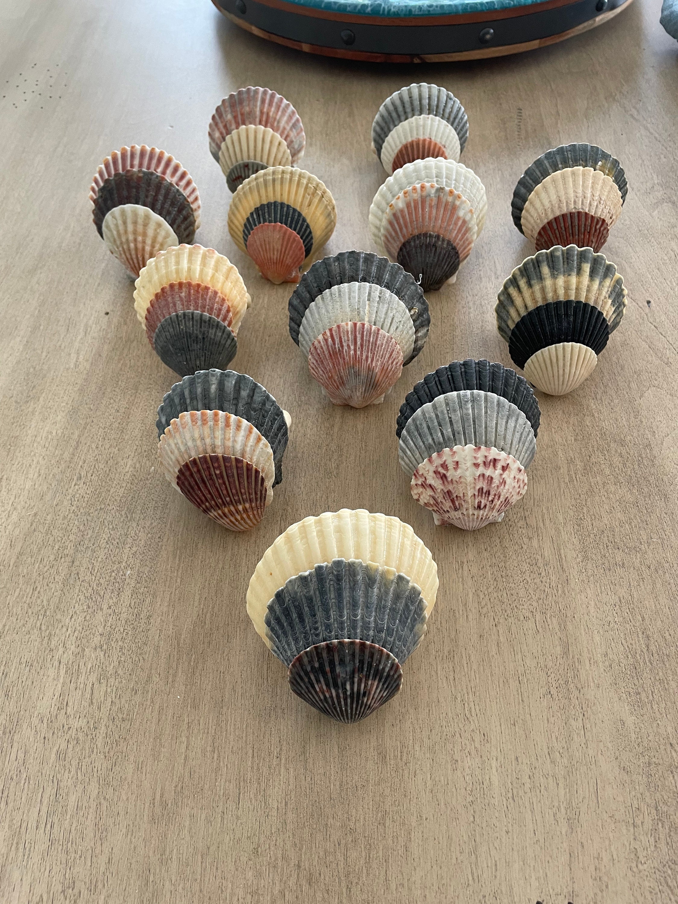 Scallop Shell Napkin Rings set of 4 - Etsy