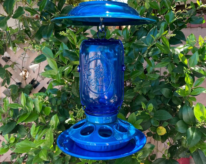 Bird Feeder Seed Feeder Bird Feeder Umbrella Mason Jar Glass Rain Guard ...