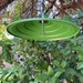 Bird Feeder Rain Guard, Bird Feeder Umbrella, Bird Feeder Shade ...
