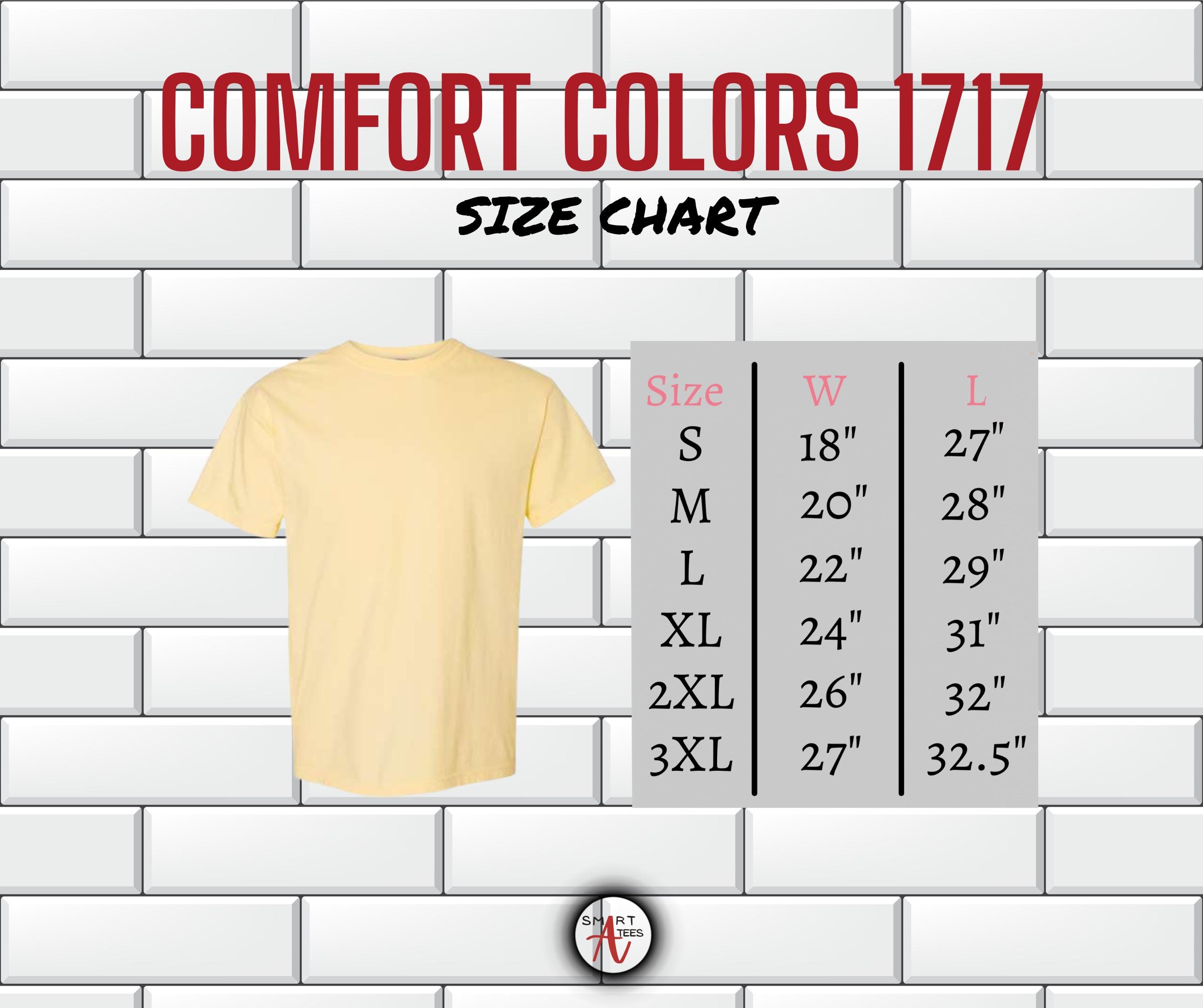 Comfort Colors Gen X Tshirt, Gen X Adulting Since Elementary School ...