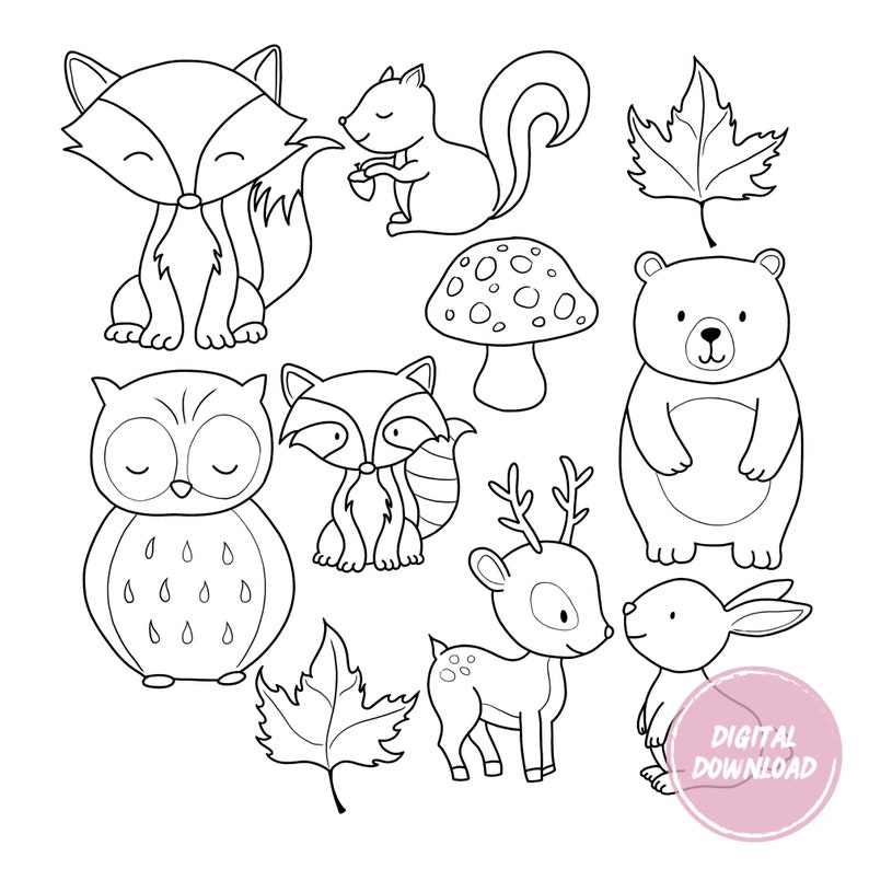 Animal Kingdom Safari Adventure Printable Kids Colouring Pages Cute ...