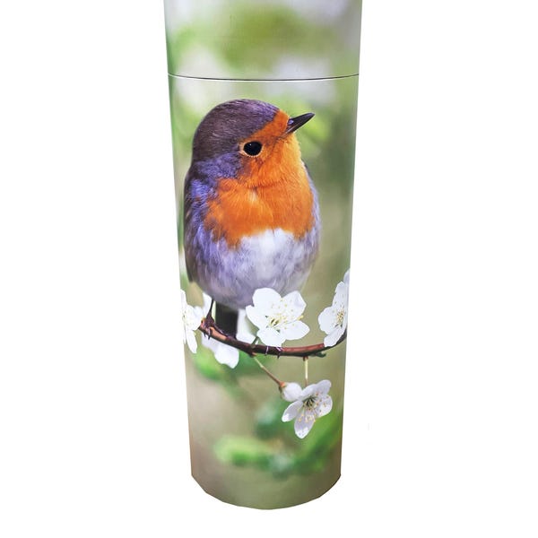 Robin Ashes Casket - Etsy UK