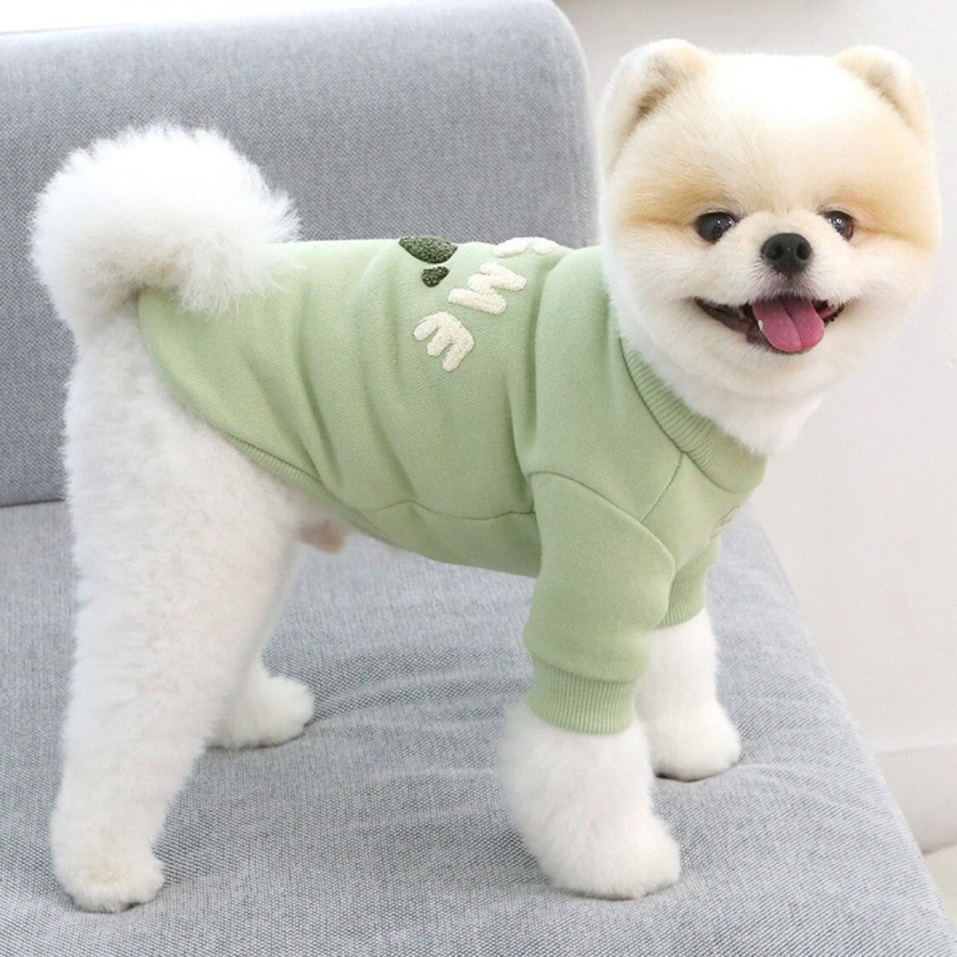 Made in Korea Dog Sweater Cute Sweater Pet Sweater Cat - Etsy