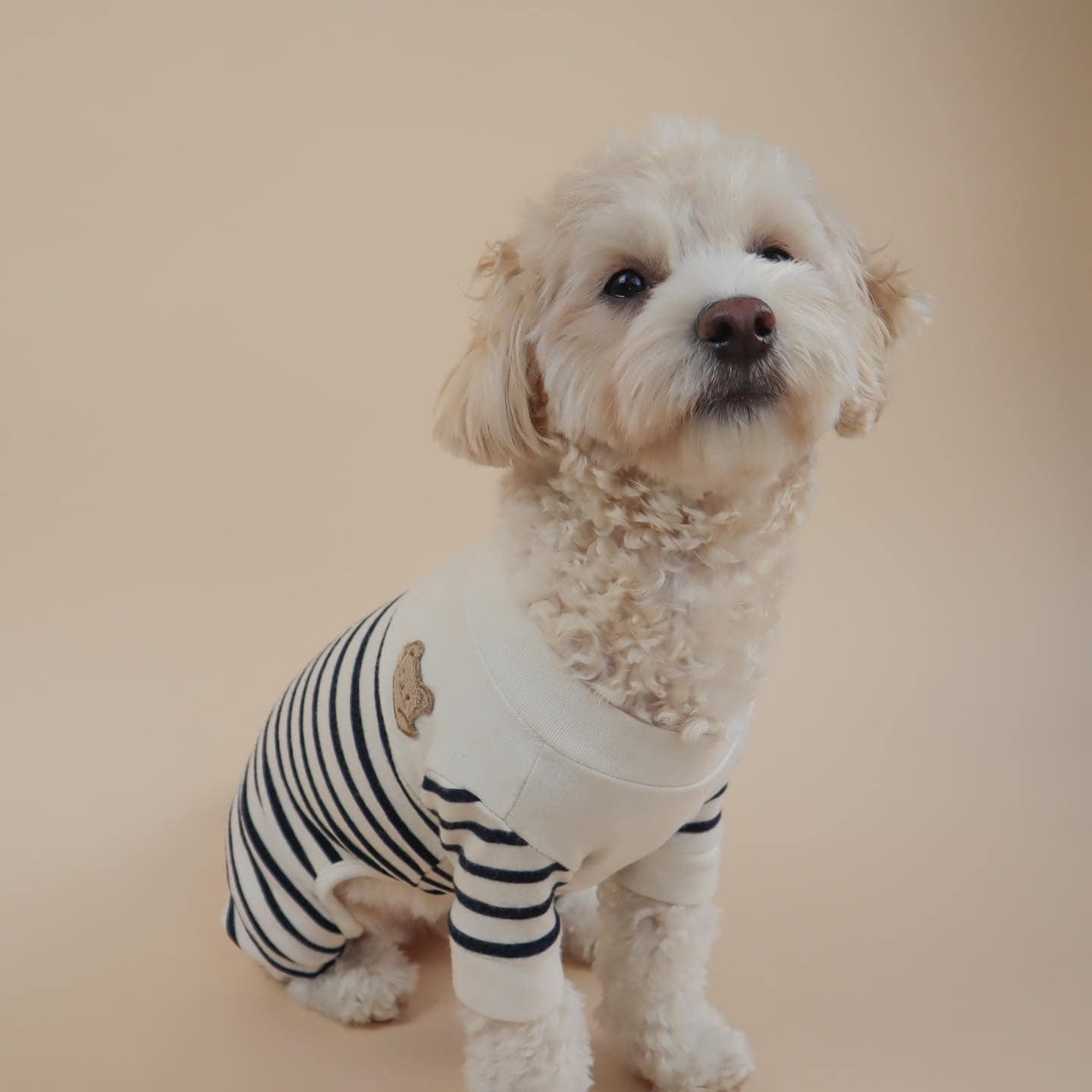 Made in Korea Dog Sweater, Cute Wanzi, Pet Sweater, Cat Sweater, Bear ...