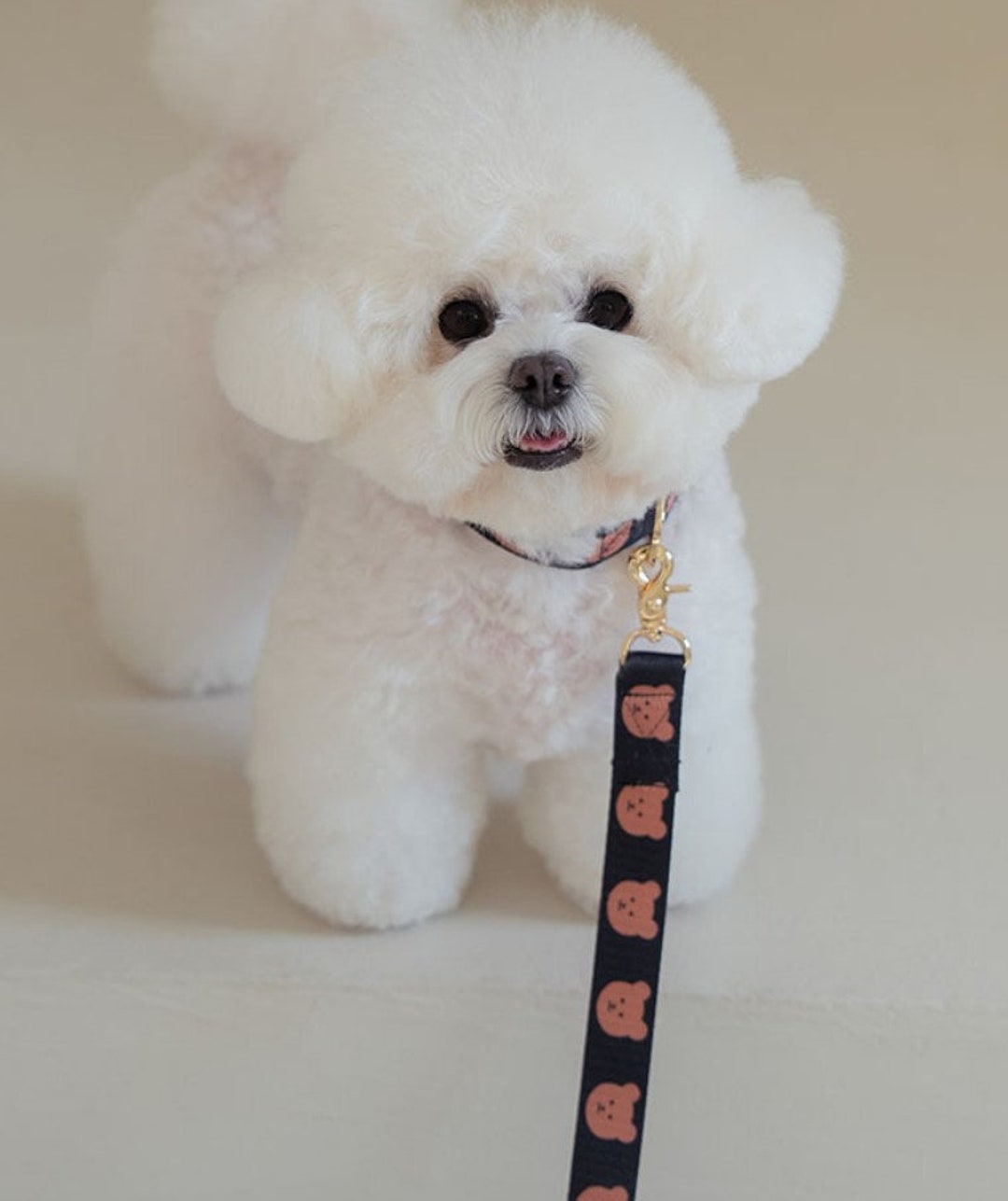 Made in Korea Bear Printing Collar, Cute Collar, Bear Printing Collar ...