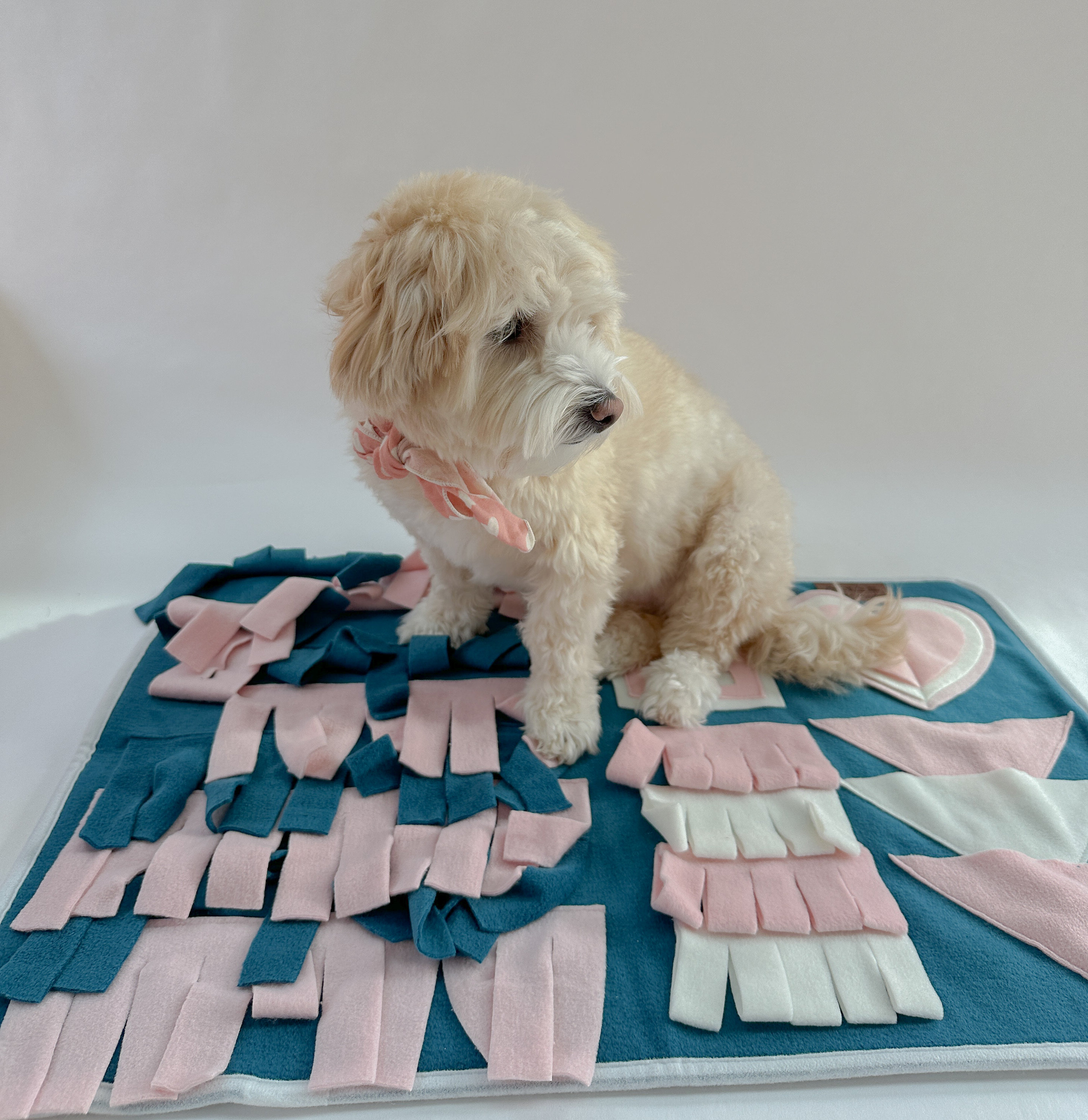 Soft Made in Korea Dog Snuffle Mat for Dogs Small and Large, Non ...