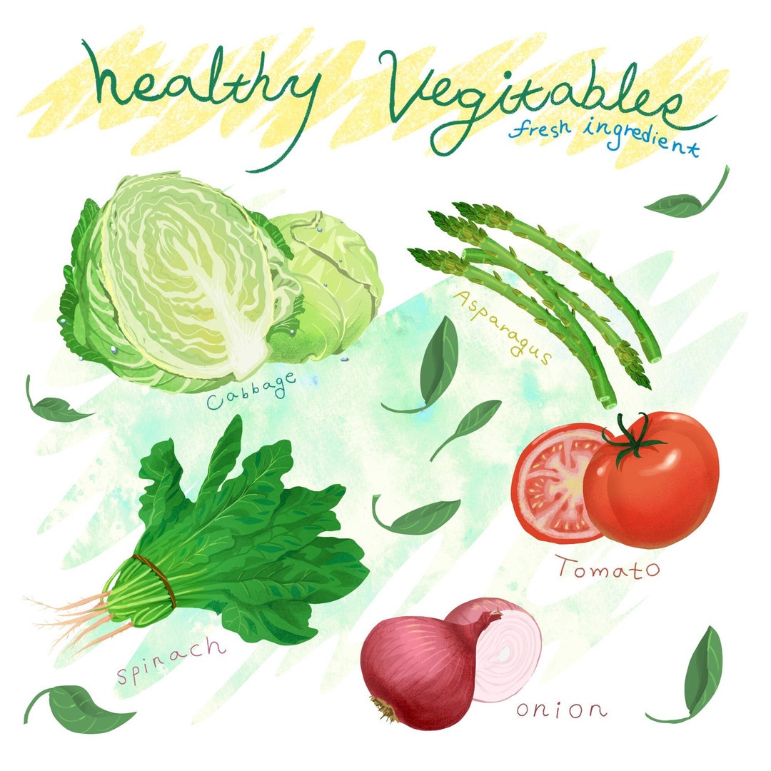 Healthy Protein Food Clip Art Collection of 7 Layered PSD - Etsy