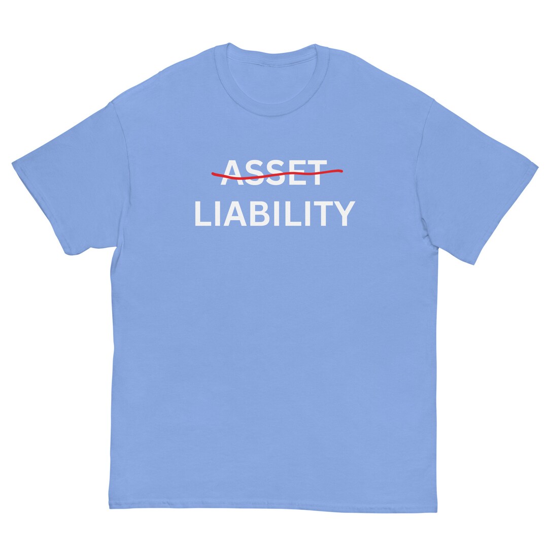 Liability, Not Asset, Accounting Humor T-shirt - Etsy