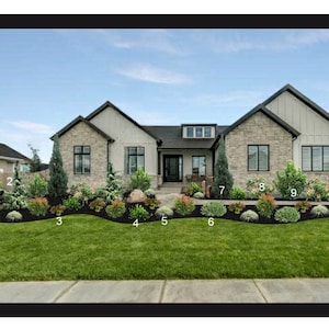 Premade Landscape Design and Plant List 'evergreen Elegance' Full Sun ...