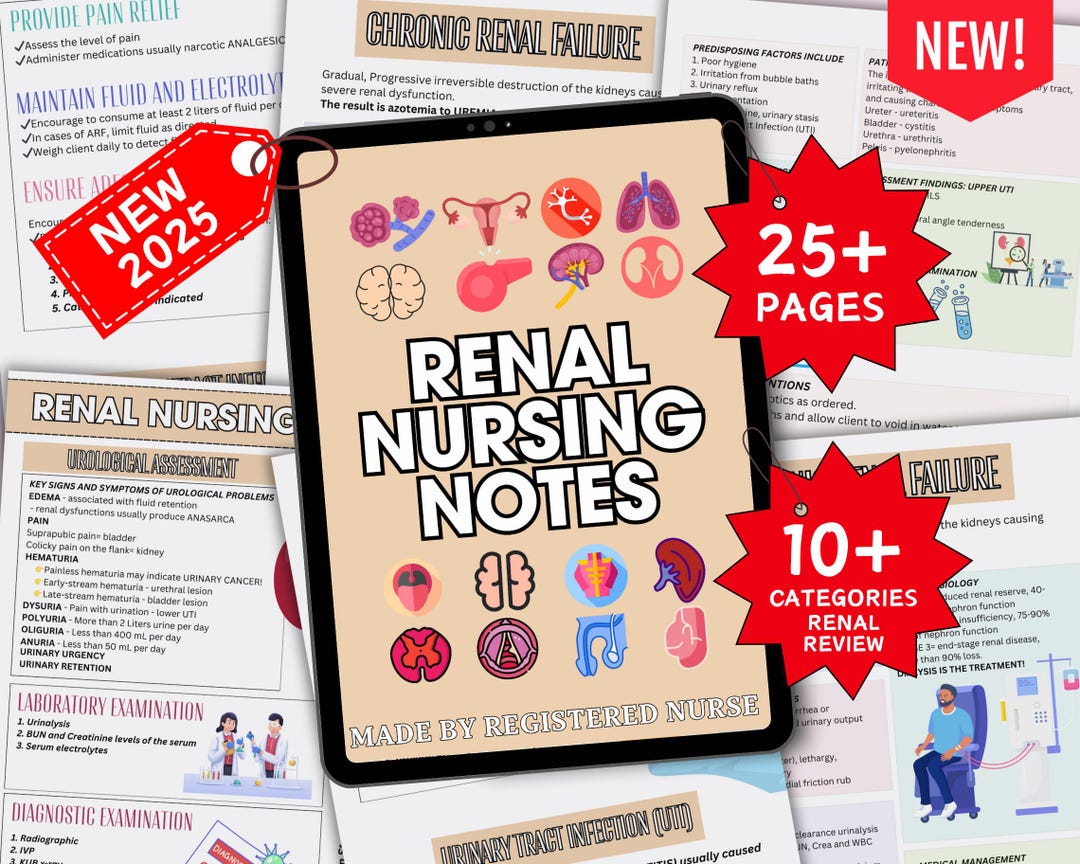 Anatomy Physiology Renal System Study Guide 2024, Med Surg, Urinary ...