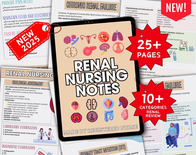 Renal/urinary System & Diseases, Nursing Study Guides, Nursing Notes ...