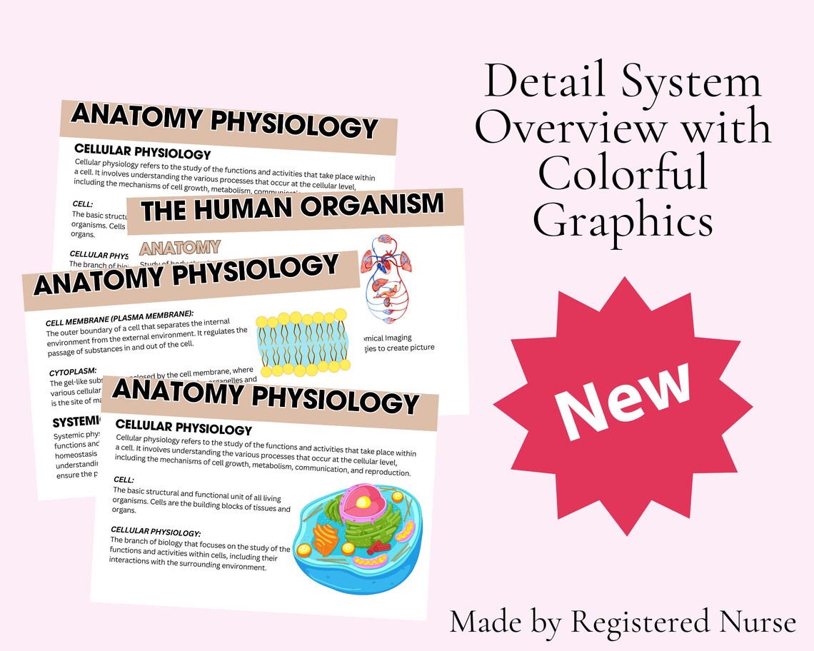 Complete Anatomy & Physiology Flashcards 2024, Nursing School Notes ...