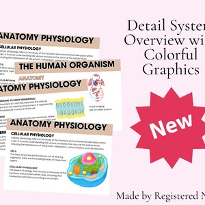 Complete Anatomy & Physiology Flashcards 2024, Nursing School Notes ...