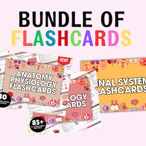 Advance Anatomy & Physiology II Bundle With Flashcards, Anatomy Study ...