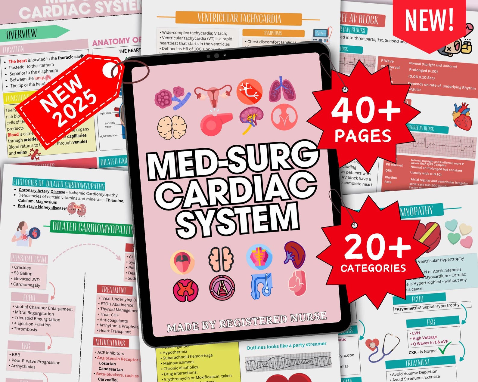 Cardiac Nursing Notes Bundle, Cardiovascular System, Med Surg (2025) - Etsy