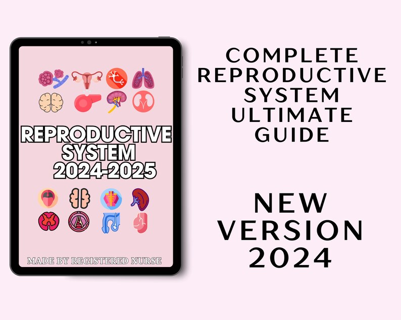 Reproductive System Anatomy Nursing Notes Bundle (digital Download) - Etsy