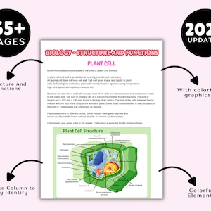 Ultimate Biology Notes 2025 Perfect for Students to Learn and Succeed ...