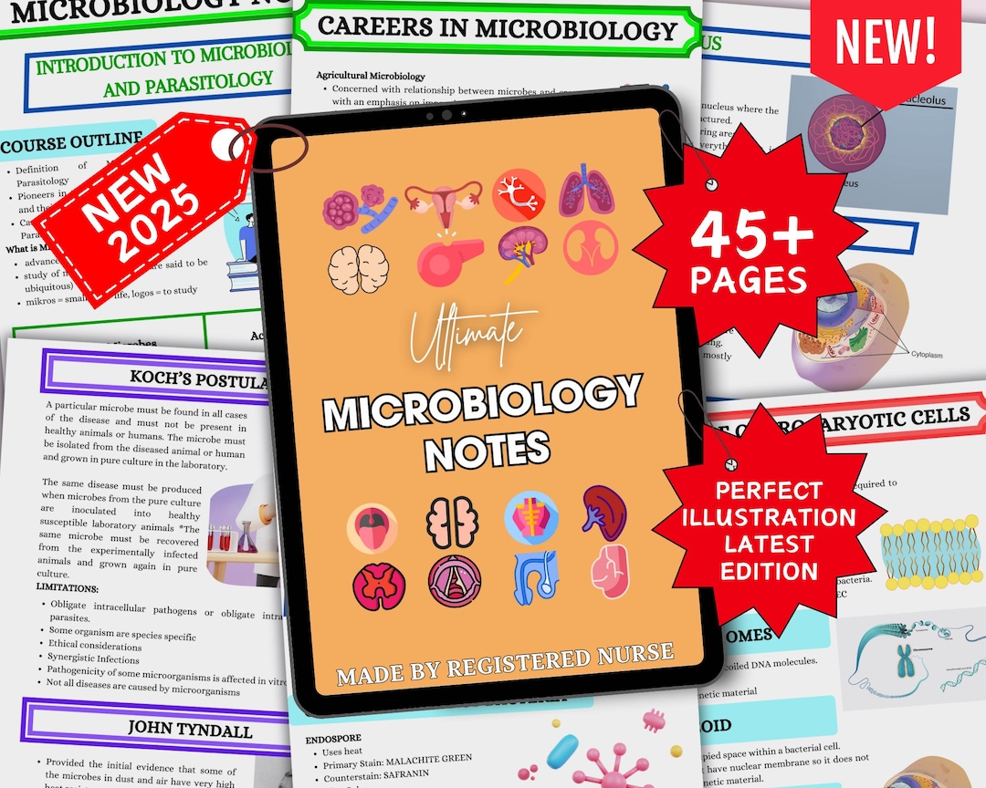 Complete Microbiology Masterclass Cheat Sheet Notes Perfect for Medical ...