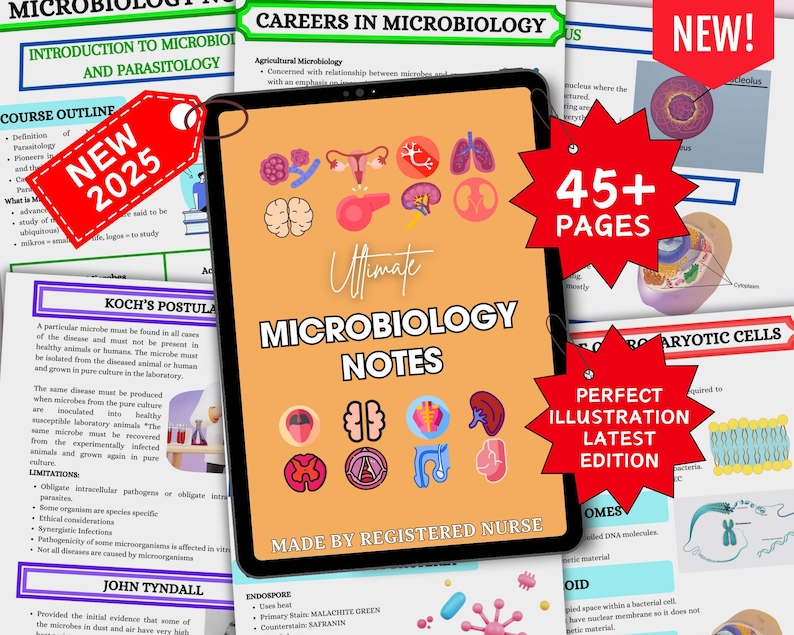 Microbiology Notes Bundle | Medical School Study Guide (digital PDF) - Etsy