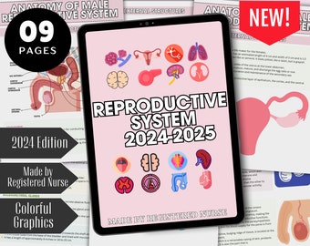 MED SURG: Reproductive System Nursing Notes, Reproductive System ...