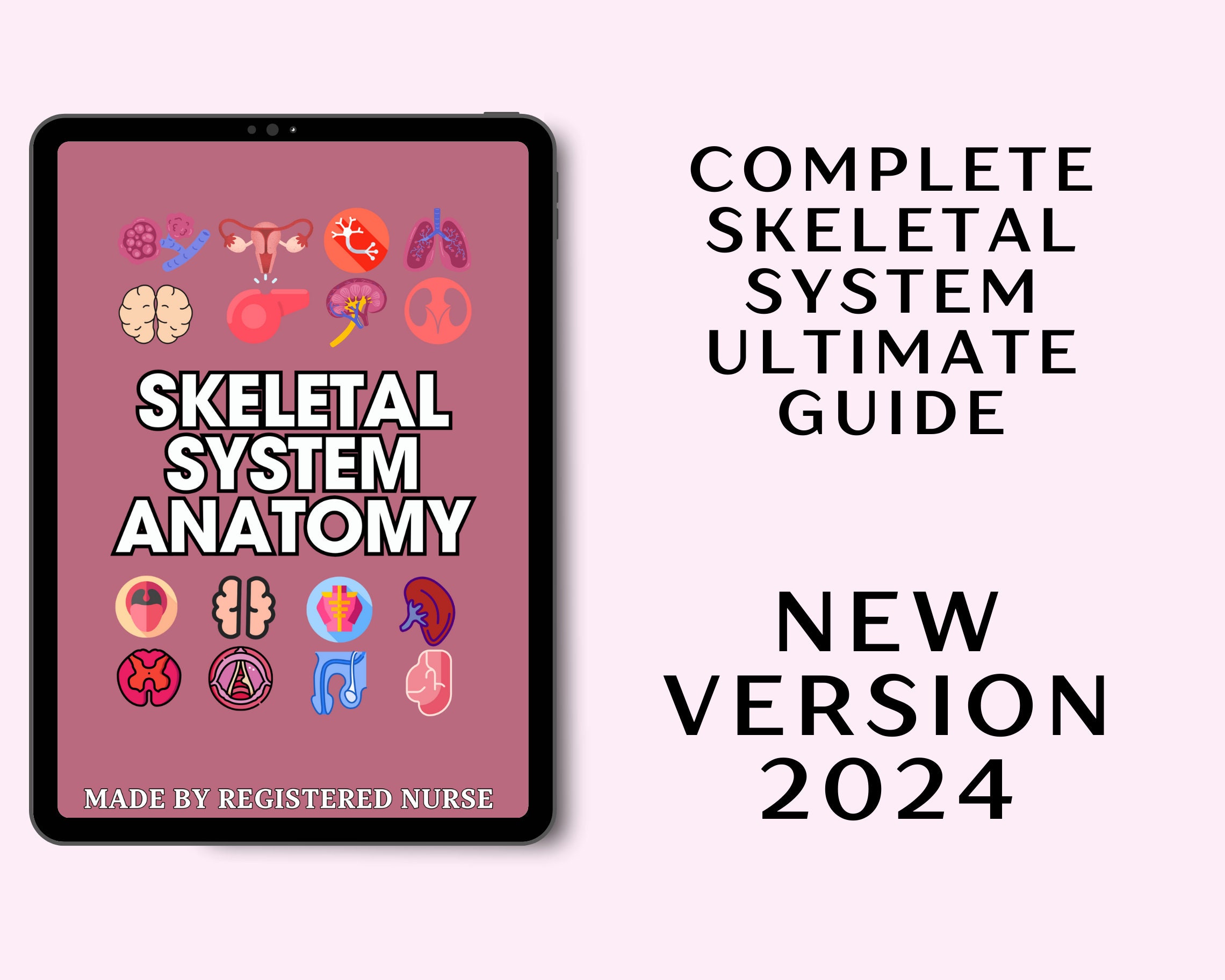 Ultimate Skeletal System Notes, Intro to Skeletal System, Skeleton ...