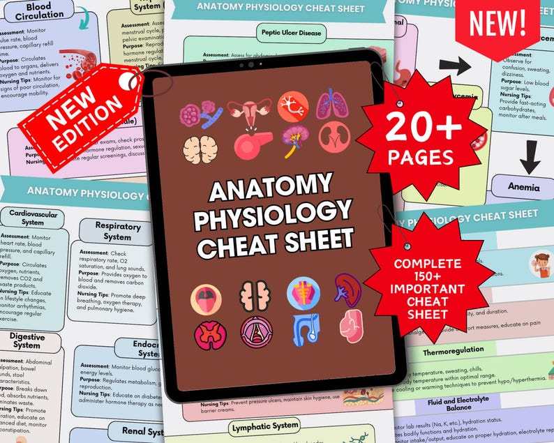 150+ Anatomy Physiology Cheat Sheet 2025, Physiology Notes, A & P Notes ...