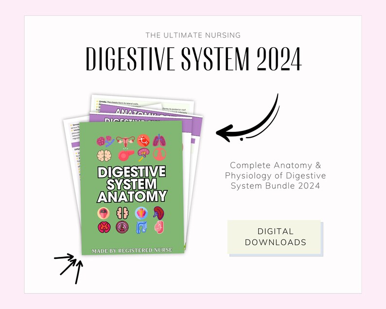 Digestive System Anatomy Study Guide, Nursing School Notes (instant ...