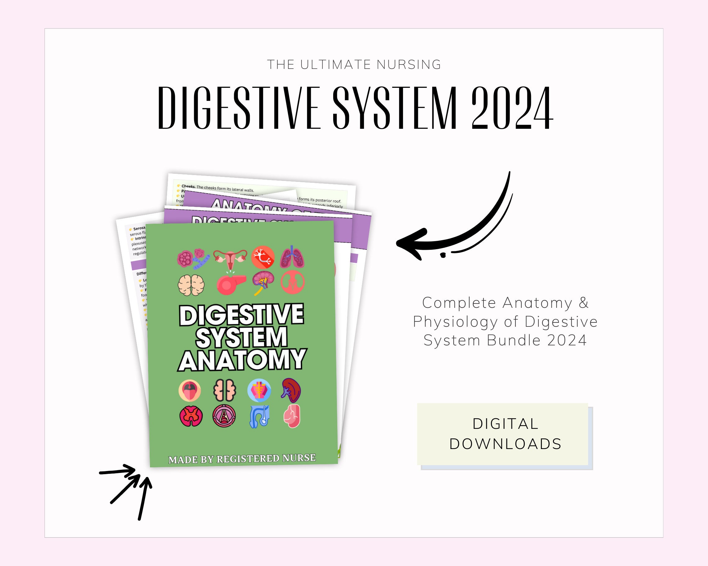 Ultimate Anatomy & Physiology Digestive System 2024, Nursing School ...