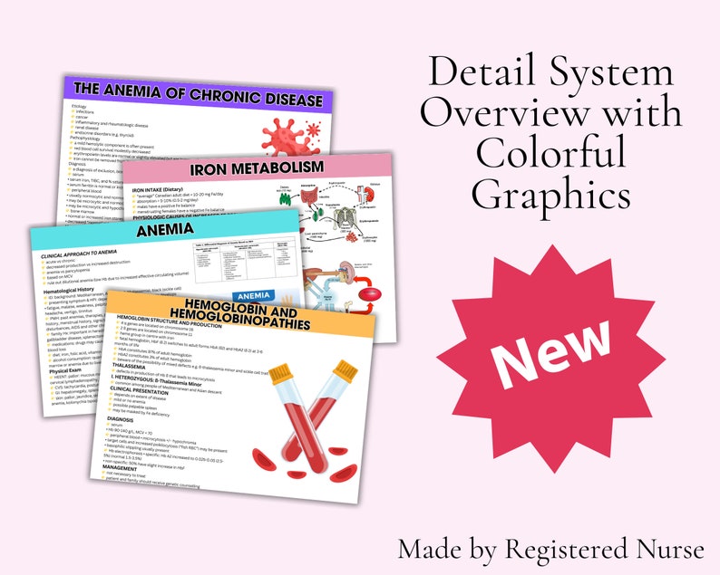 Hematology Flashcards, Anatomy Study Guide (instant Download PDF) - Etsy