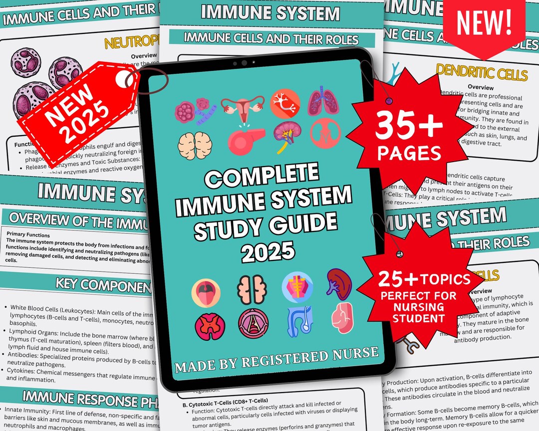 Immune System Study Guide, Nursing School Notes 2025 (digital Download ...