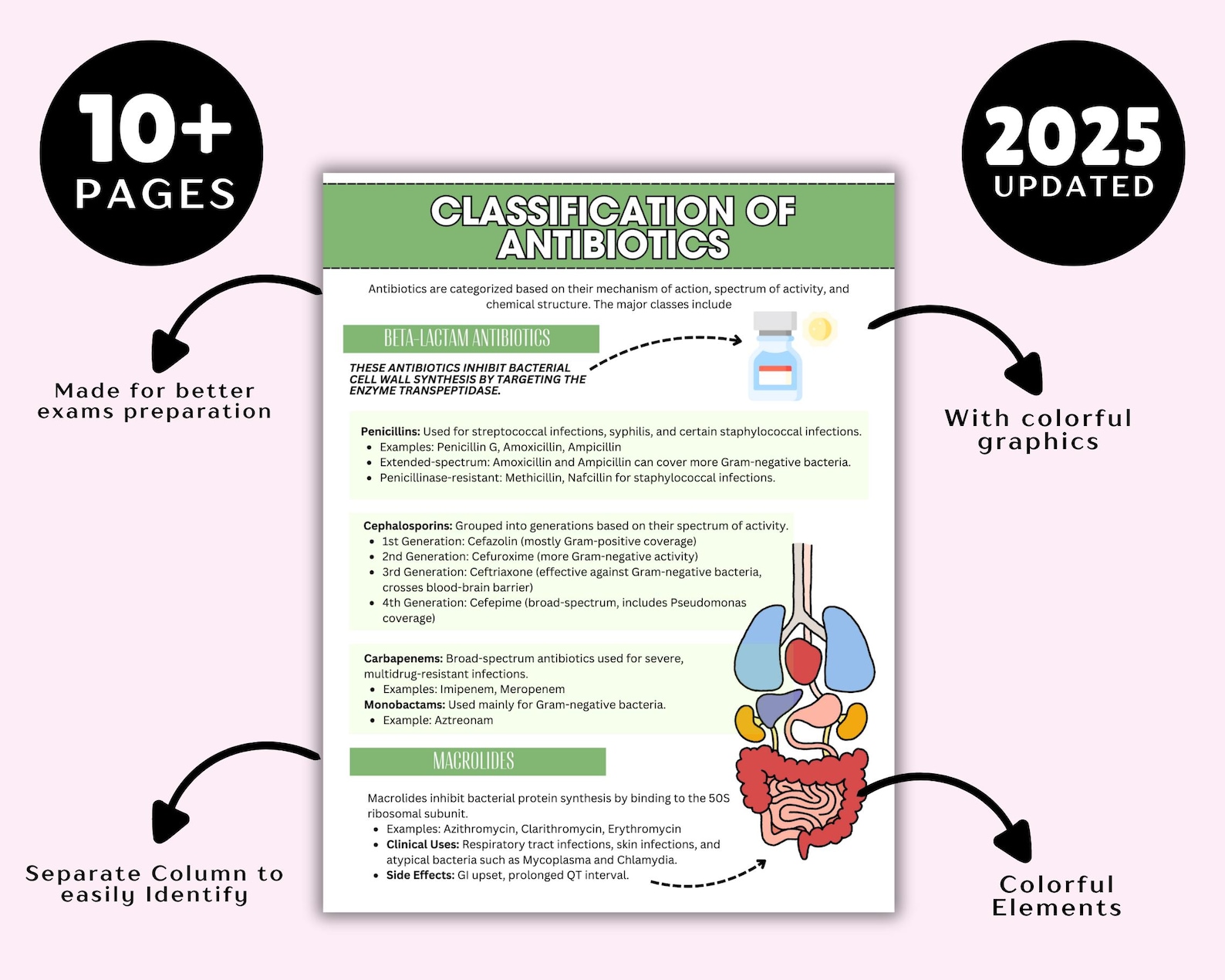Antibiotics Pharmacology Bundle | Antibiotics Cheat Sheets | Nursing ...