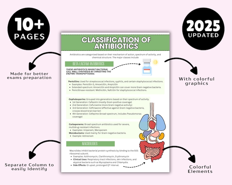 Antibiotics Pharmacology Bundle | Antibiotics Cheat Sheets | Nursing ...