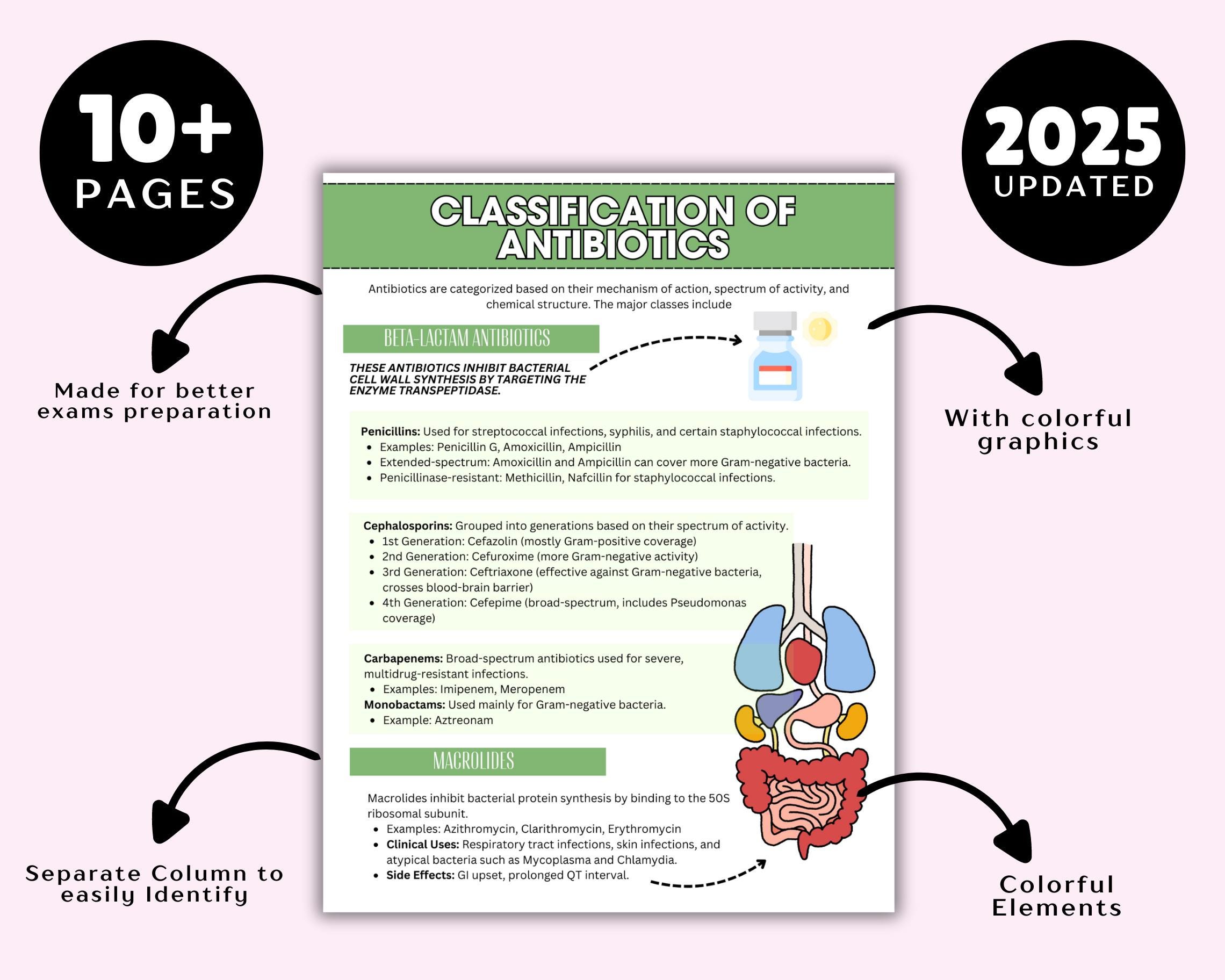 Antibiotics Pharmacology Bundle | Antibiotics Cheat Sheets | Nursing ...