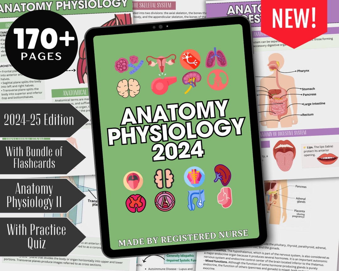 Advance Anatomy & Physiology II Bundle With Flashcards, Anatomy Study ...