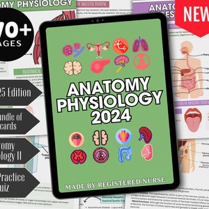 Advance Anatomy & Physiology II Bundle With Flashcards, Anatomy Study ...