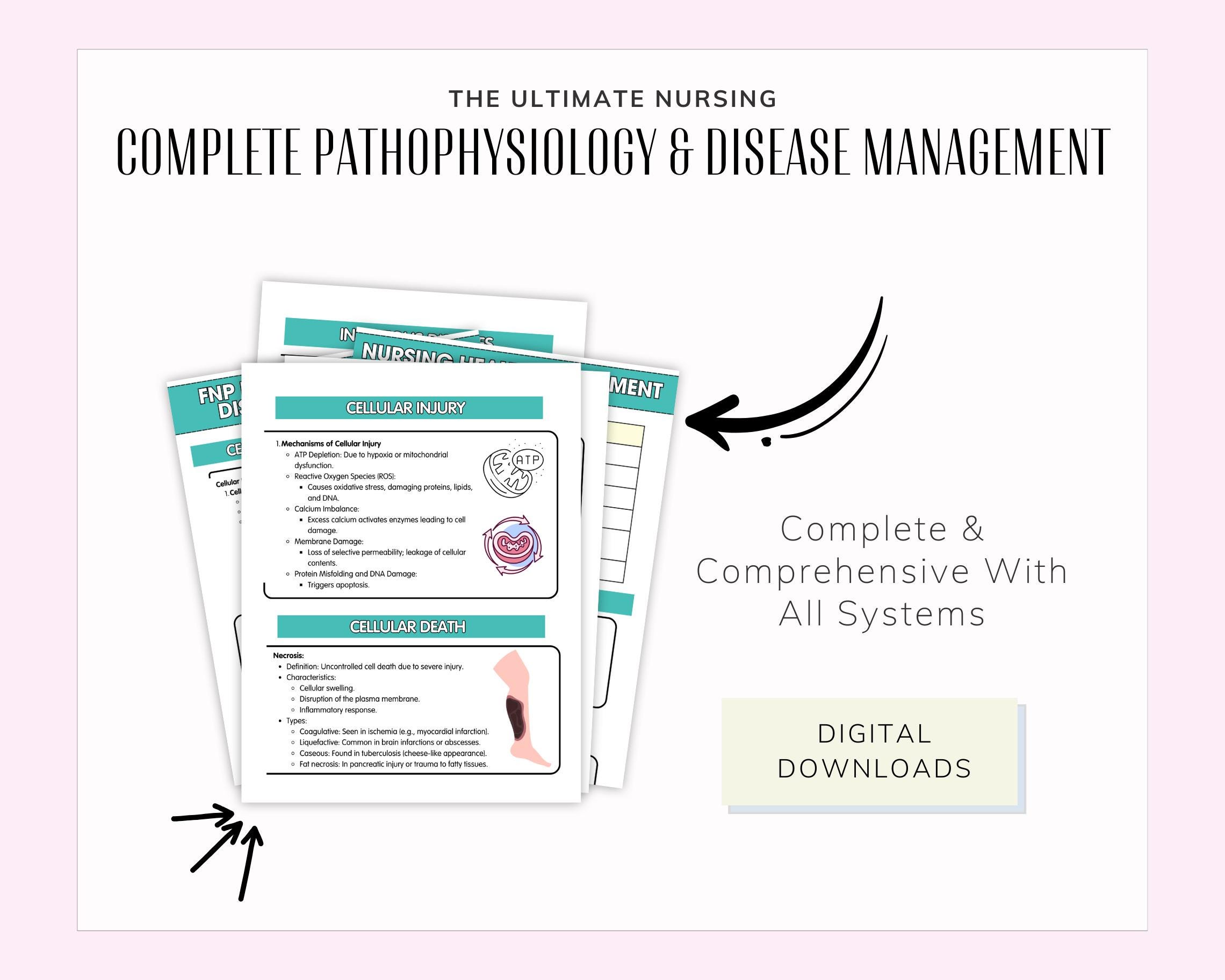 FNP Pathophysiology, Fnp Infectious Disease, FNP Study Guide, FNP ...