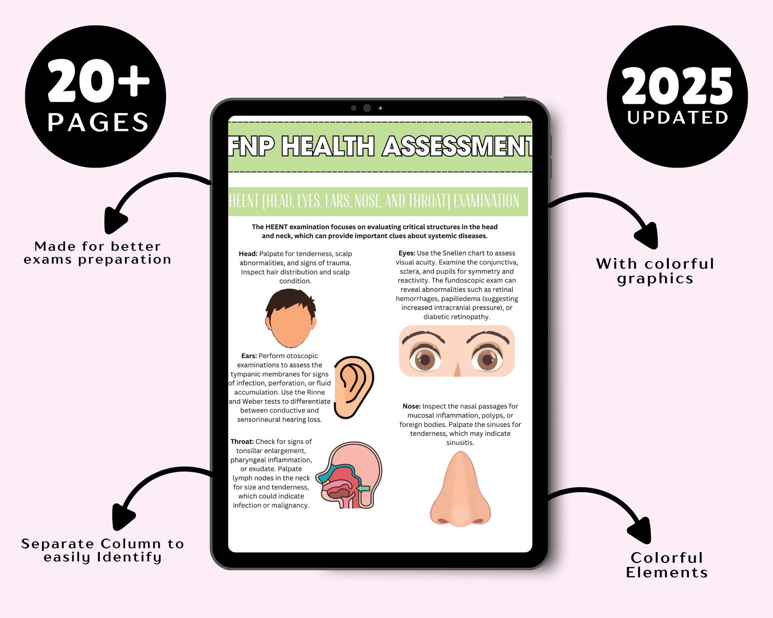 UPDATED for 2025! Fnp Health Assessment, FNP Studyguide, FNP Nervous ...