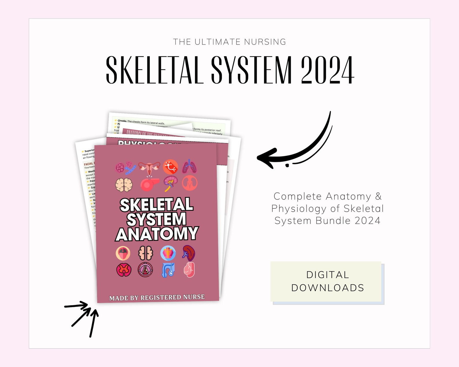 Ultimate Skeletal System Notes, Intro to Skeletal System, Skeleton ...