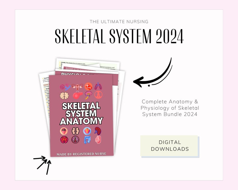 Ultimate Skeletal System Notes, Intro to Skeletal System, Skeleton ...