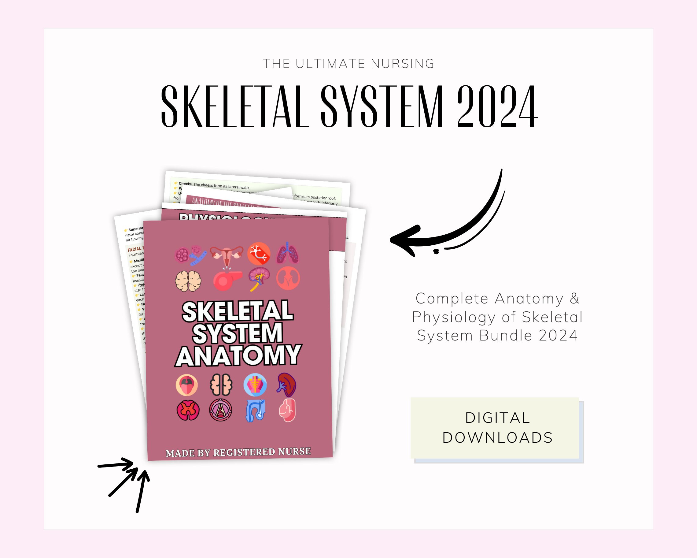 Ultimate Skeletal System Notes, Intro to Skeletal System, Skeleton ...
