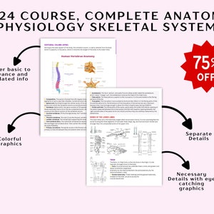Ultimate Skeletal System Notes, Intro to Skeletal System, Skeleton ...