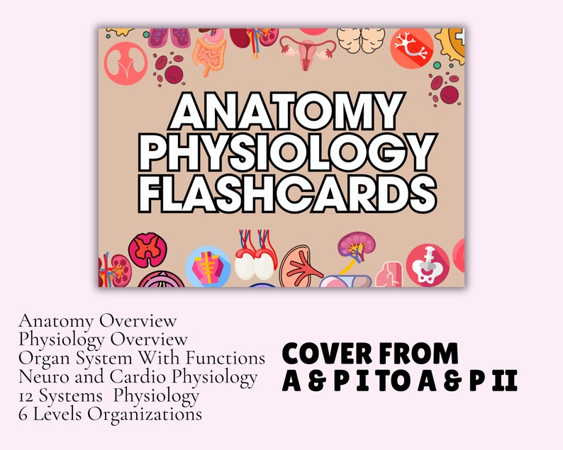 Complete Anatomy & Physiology Flashcards 2024, Nursing School Notes ...