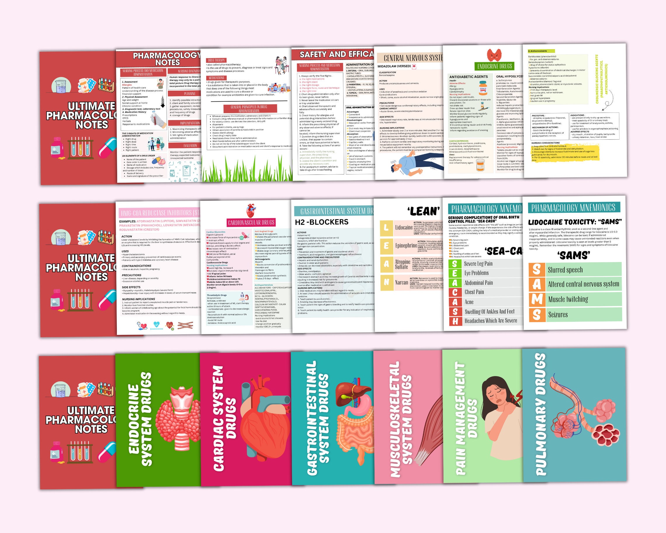 Pharmacology Study Guide Bundle 100+ Pages, Pharmacology Notes, Nursing ...