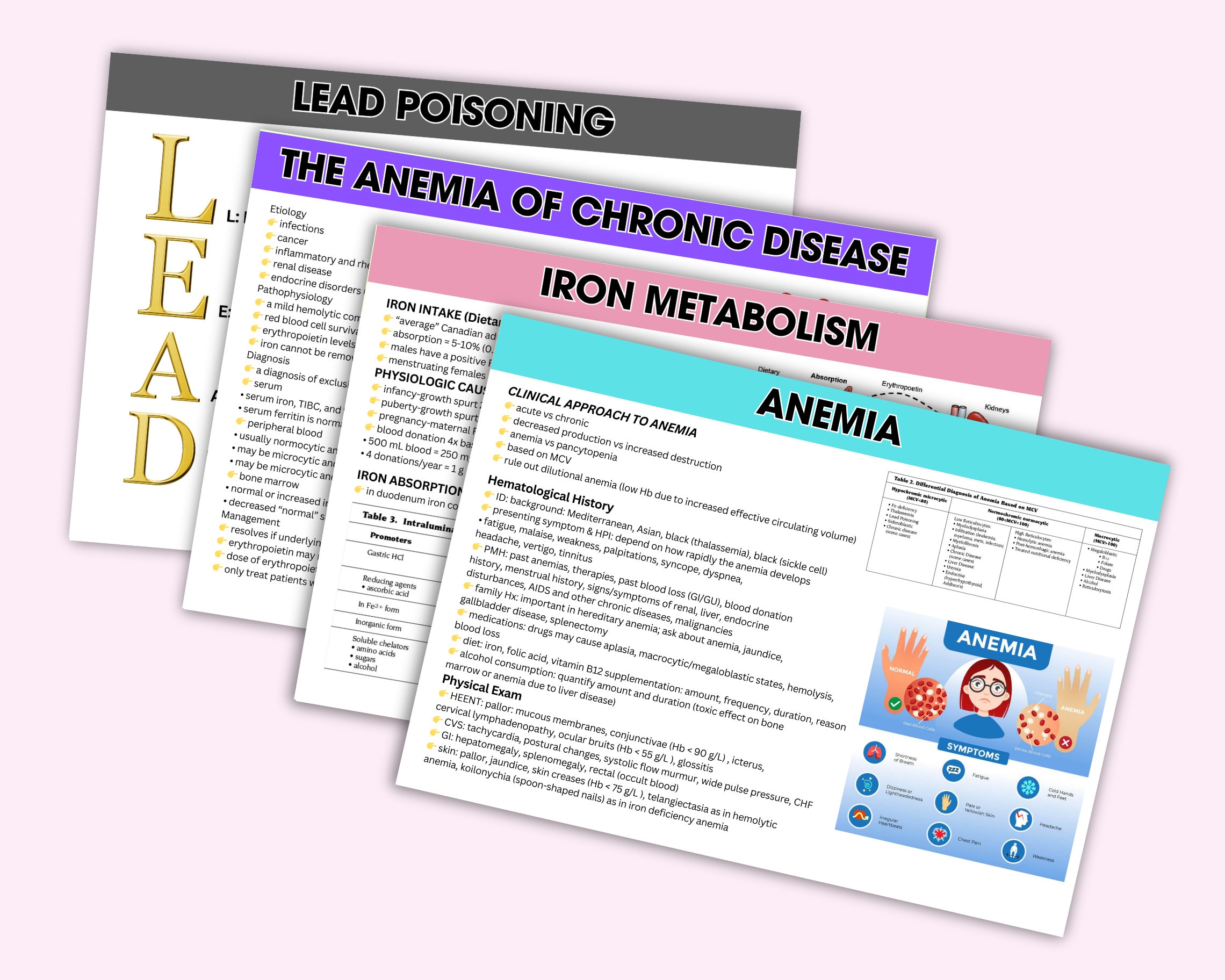 Complete Hematology Flashcards 2024, 90+ Pages, Nursing School Notes ...