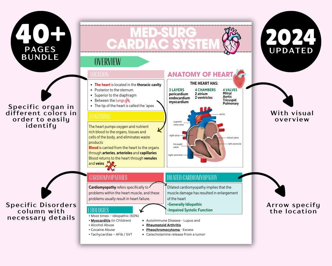 Cardiac Nursing Notes Bundle, Cardiovascular System, Med Surg (2025) - Etsy