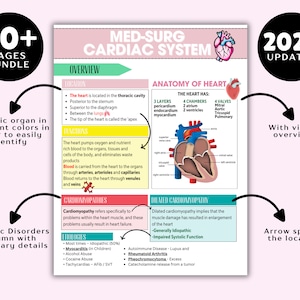 Cardiovascular System and Disorders With Cardiac Rhythms 2025 Nursing ...